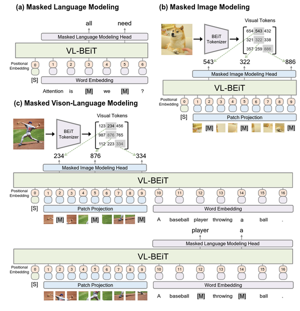 多模态超详细解读 (五)：VL-BEIT：极简单阶段多模态预训练方案 - 知乎