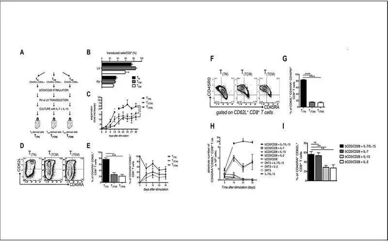 干货 | IL-7 与IL-15共同调制的T细胞生长鸡尾酒 - 知乎