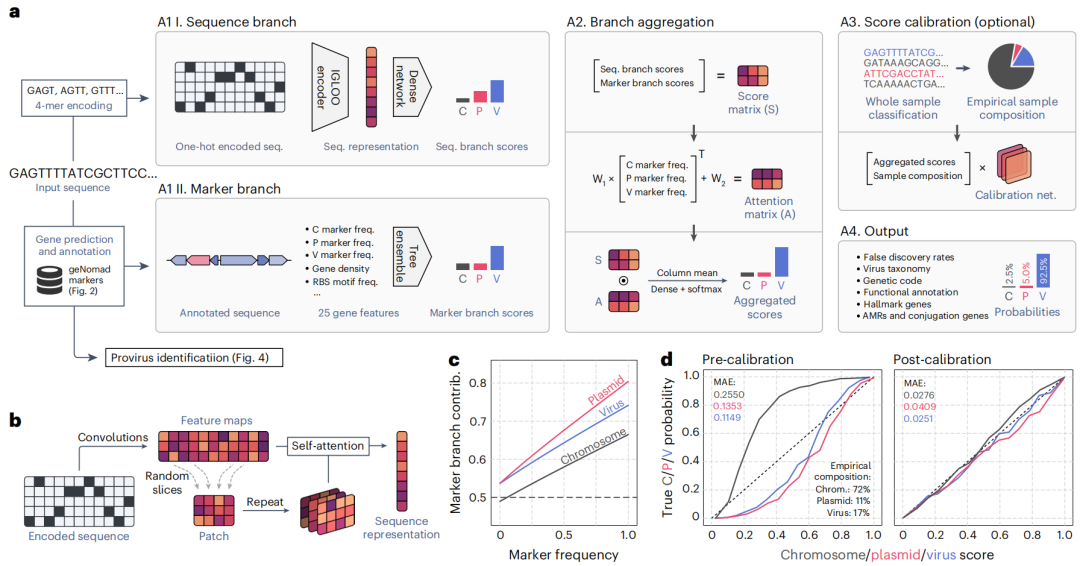 NBT：快准全！geNomad——宏病毒组鉴定新工具 - 知乎