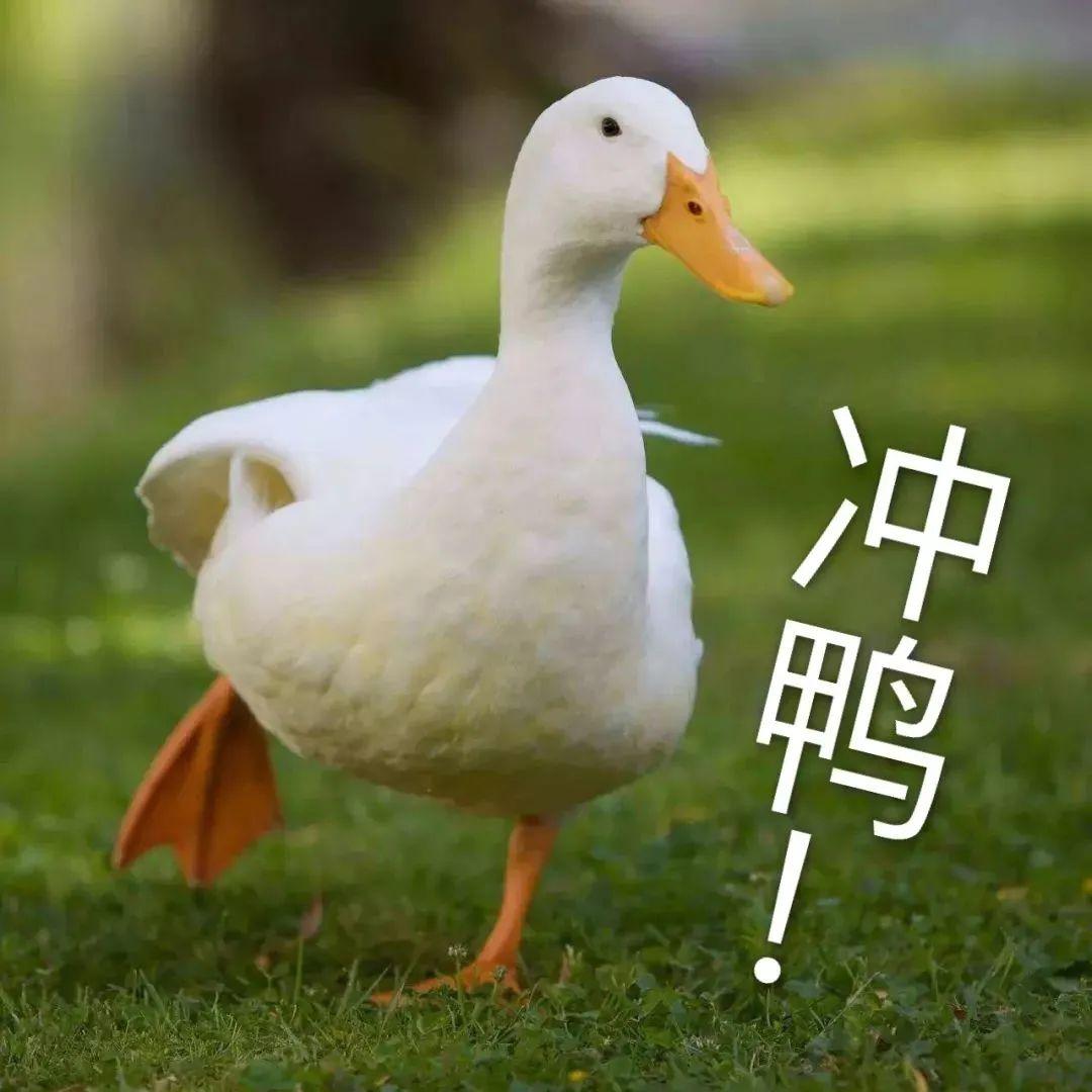 【Vue 3入门】认识Vue 3前端开发框架，了解Vue3新特性！ - 知乎