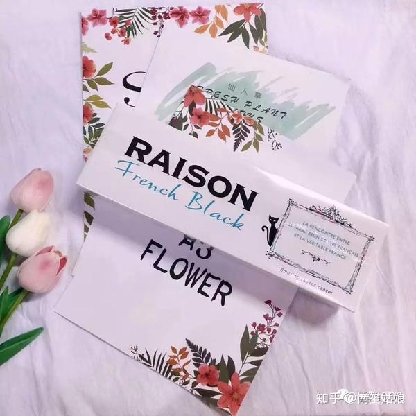 RAISON 卷烟品牌，中文铁塔猫，又叫韩国猫 - 知乎