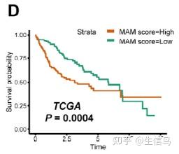 1个月接收！生信最新切入点——线粒体相关内质网膜，模型构建+两次分型分析+单细胞数据分析，高创新性思路拿下4.9分+ - 知乎