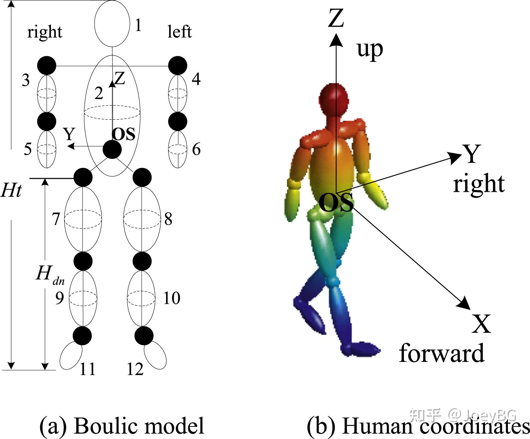 第二十章 人类活动监视雷达Vol.4：行为/步态识别 - 知乎