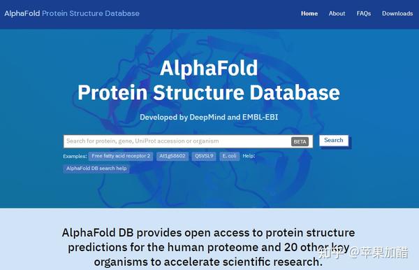 AlphaFold为我们带来了什么？技术的革新 - 知乎