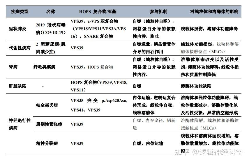 JCB 综述︱VPS39作为内体-溶酶体运输和线粒体-溶酶体互作位点的关键拴系蛋白以及在健康和疾病中的关键作用 - 知乎