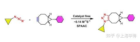 深入了解生物正交化学中的click反应试剂 - 知乎