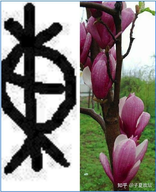 东南西北这四个汉字的本义是什么，为什么能表示方位？ - 知乎