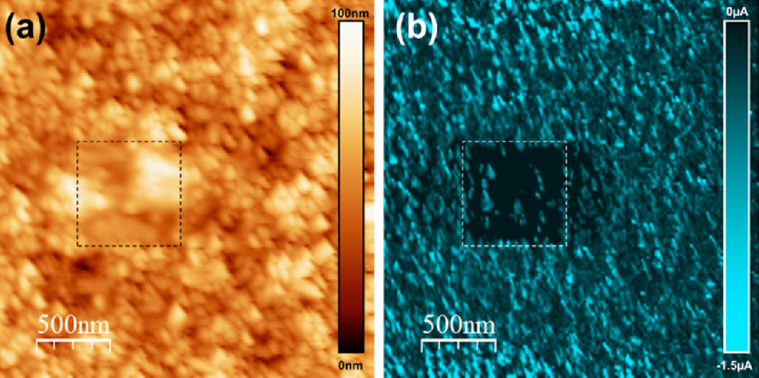 关于原子力显微镜AFM，读这篇文章就够了-上海众濒科技有限公司