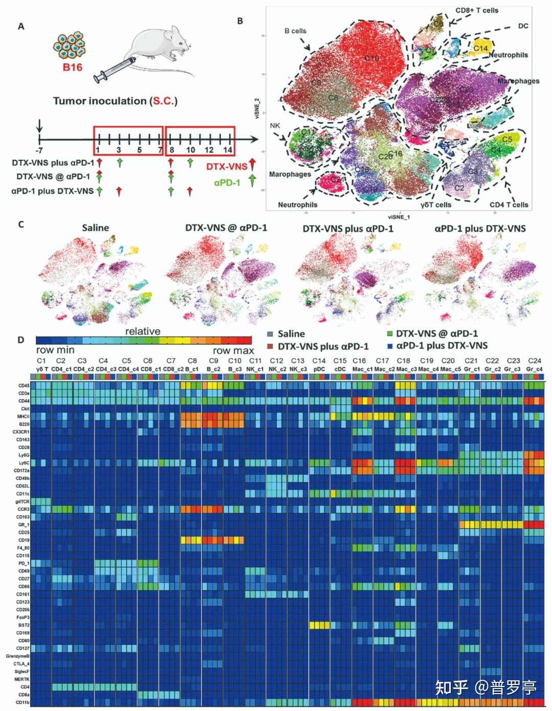 【项目文章，IF=9.776】CyTOF质谱流式阐明免疫化疗不同给药顺序的抗肿瘤效果 - 知乎