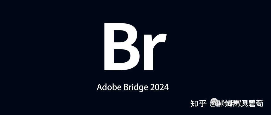 [Win+Mac] Adobe Bridge 2024 - 知乎