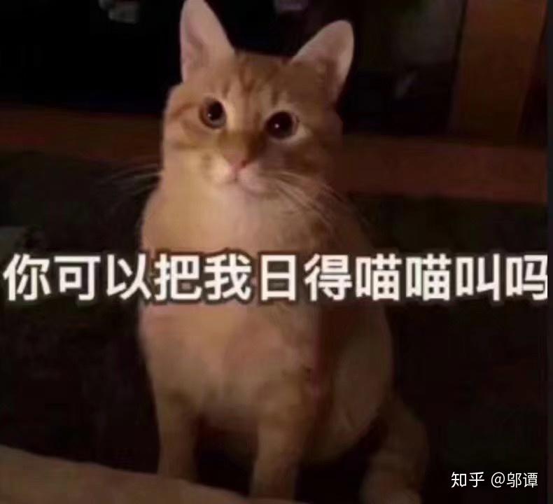 你说过最骚的骚话是什么？ 知乎