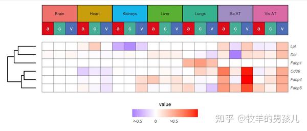 跟着Nature Metabolism学作图:R语言ggplot2热图组合树图和双层分组标记 - 知乎