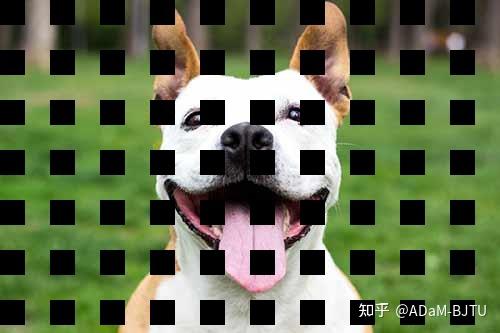 Albumentation文档 - 知乎