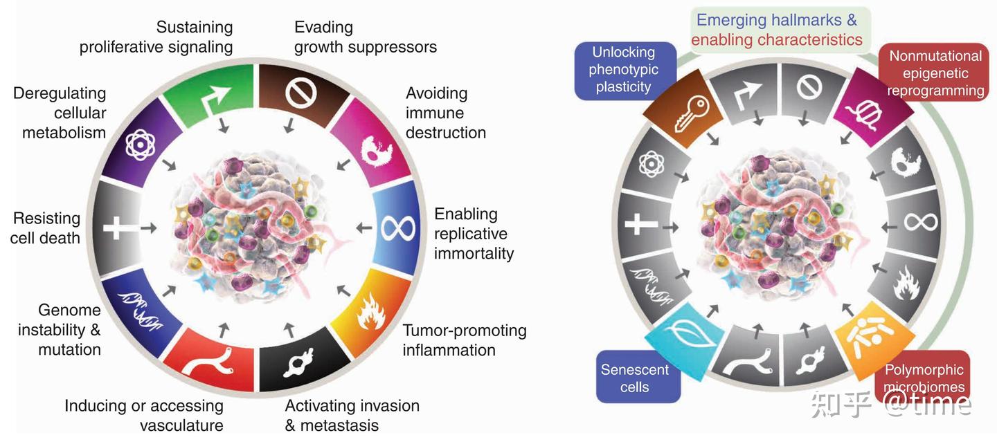 文献分享 | Cancer Discovery：Hallmarks of Cancer: New Dimensions - 知乎