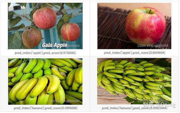Fruit-Dataset水果数据集+水果分类识别训练代码(支持googlenet, resnet, inception_v3 ...