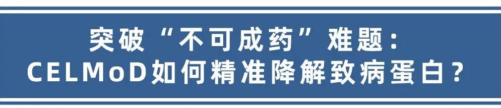 “诺奖含金量”的新兑现：靶向蛋白降解疗法CELMoD，指向MM治疗新基石 - 知乎