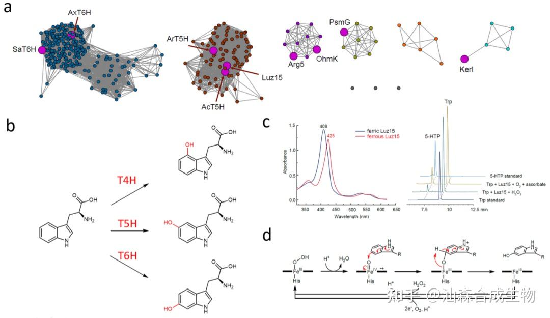 NAT CHEM BIOL：5-羟色氨酸物合成途径的发现 - 知乎