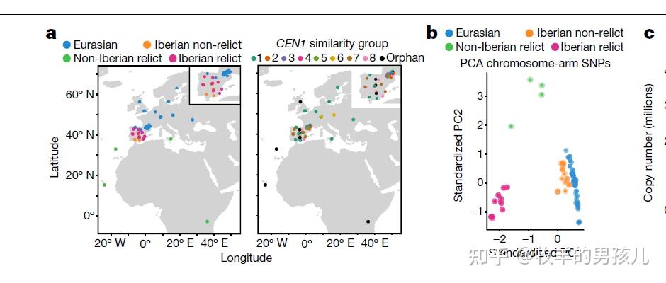 跟着Nature学数据分析：minimap2+bcftools基于全基因组比对鉴定SNP - 知乎