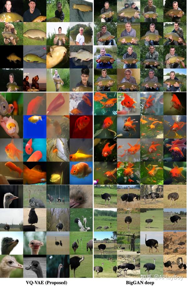 VQ-VAE-2:Generating Diverse High-Fidelity Images with VQ-VAE-2 全文解读 - 知乎