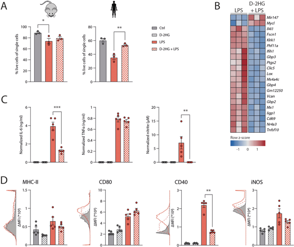 d-2-Hydroxyglutarate 是一种抗炎免疫代谢物，在 TLR4 激活后的巨噬细胞中积累 - 知乎
