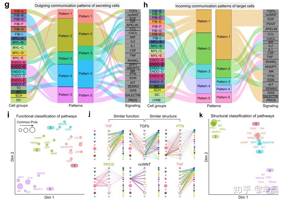 CellChat细胞通讯分析（上）--文献解读 - 知乎