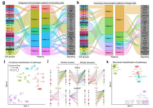 CellChat细胞通讯分析（上）--文献解读 - 知乎