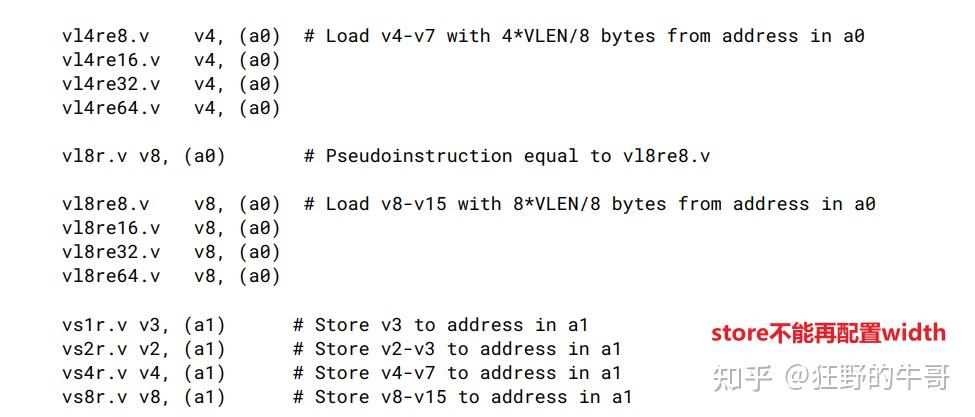 RISC-V Vector的load/store - 知乎