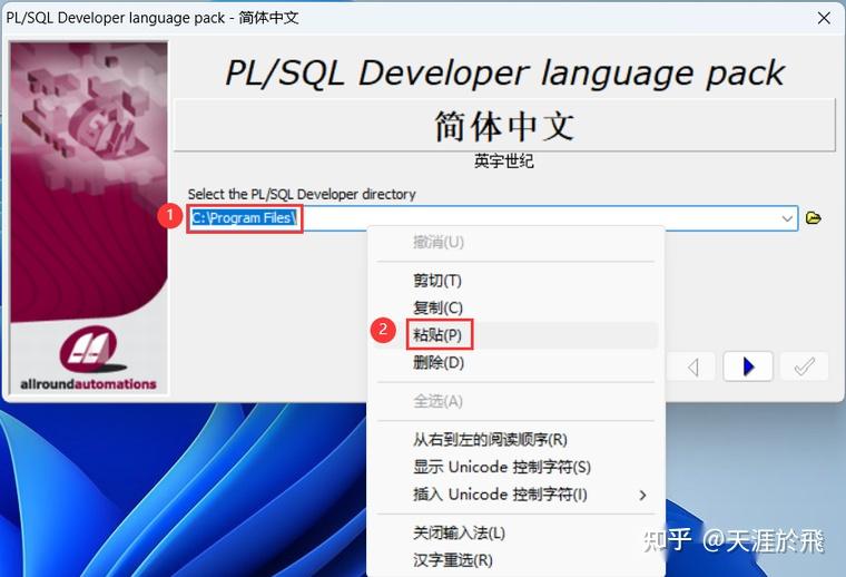 PLSQL Developer 14软件包下载附安装教程 - 知乎
