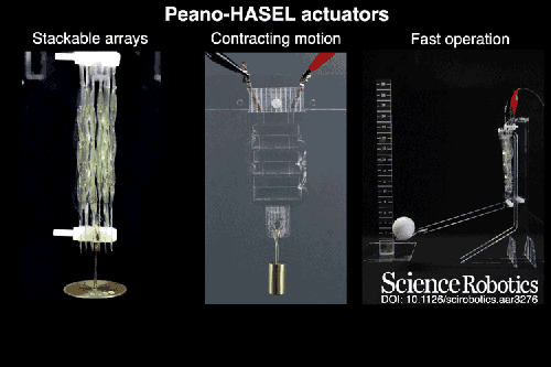 软体机器人变身人体肌肉，将优雅模仿人体运动！科学与机器人子刊齐发 - 知乎