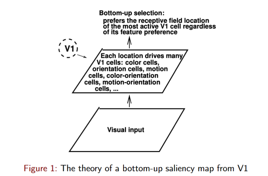 V1SH（V1 Saliency Map）视觉动力学模型 - 知乎