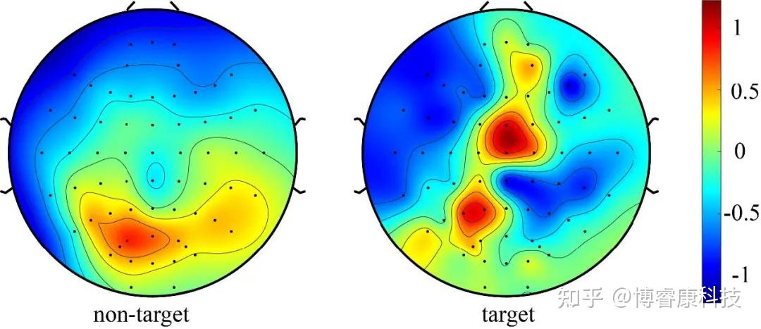 基于改进EEGNet的快速序列视觉呈现(RSVP)任务单试次脑电图(EEG)分类方法 - 知乎