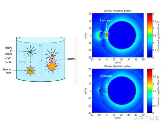 采用COMSOL分析DNA双链引导纳米粒子表面增强分析 - 知乎