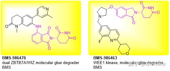 分子胶：重塑药物发现的“分子媒人” - 知乎
