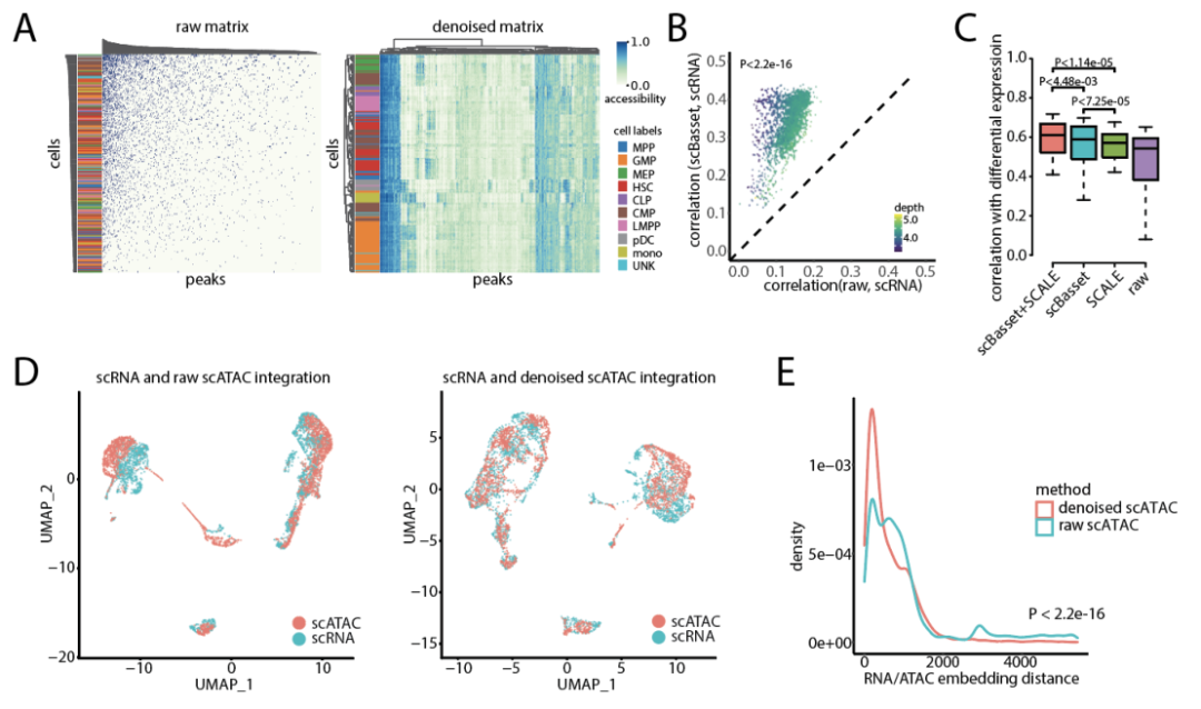 Nat. Methods | scBasset：基于DNA序列的单细胞ATAC-seq卷积神经网络建模 - 知乎
