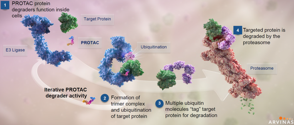 PROTAC外的其它双功能分子 - 知乎