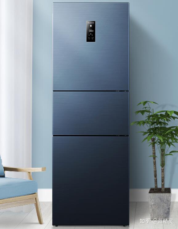讲解美菱BCD-272WP3CY和美菱BCD-271WP3CX这两款冰箱我们要怎么选？容量只差1L