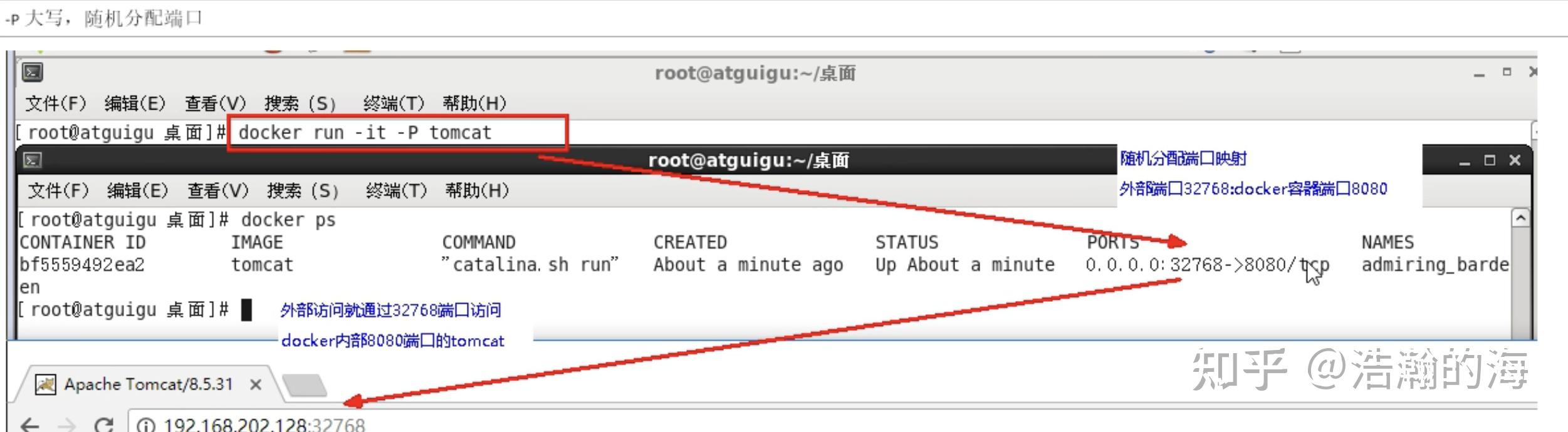 七、基础篇-Docker常规安装简介 - 知乎