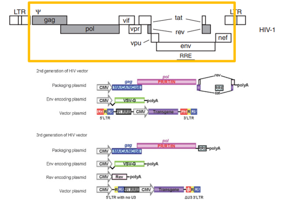 干货分享 | 可复制型慢病毒RCL检测 - 知乎