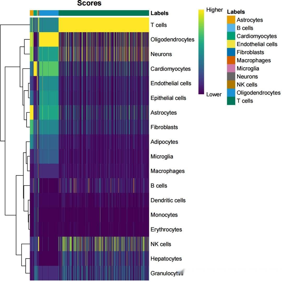 STOmicsDB：简单便捷的空间转录组网页工具！ - 知乎