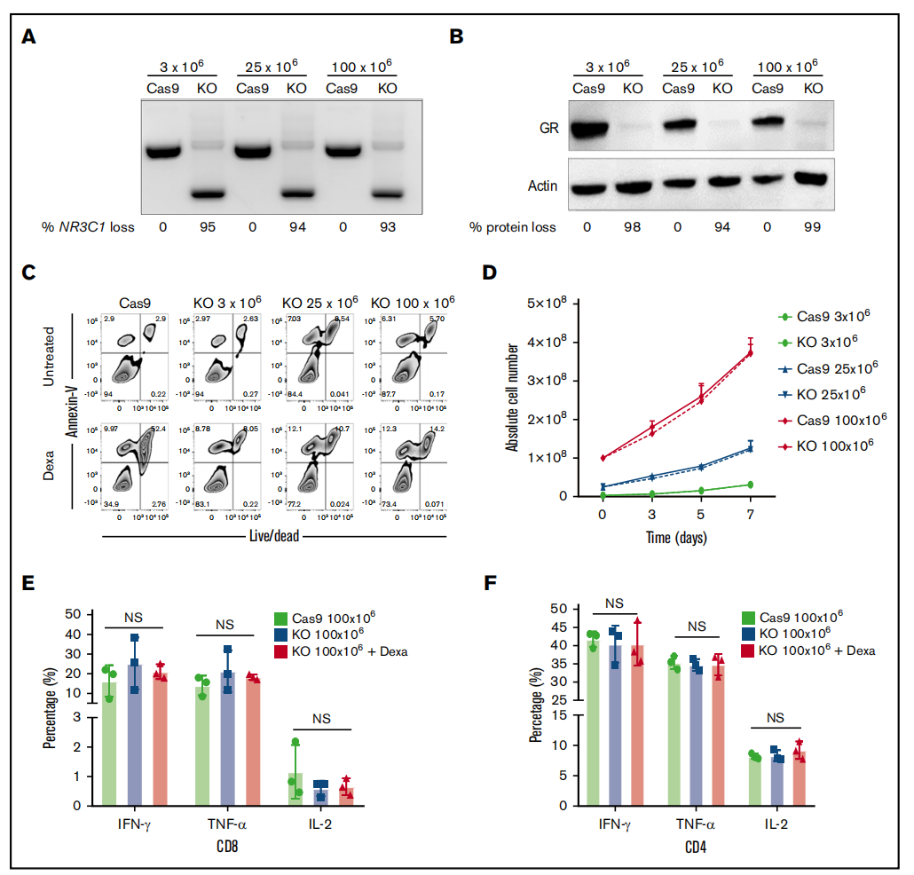 Lonza 4d-Nucleofector LV大体积转染应用分享！-上海玮驰仪器有限公司