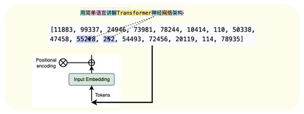 一文彻底搞懂Transformer的输入（附代码） - 知乎