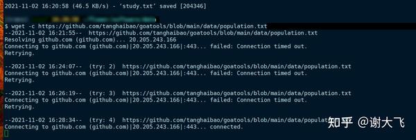 FastGithub下载及使用 - 知乎