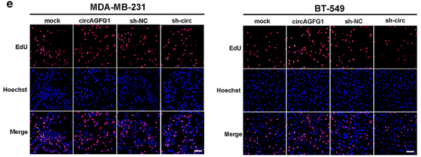 图片查重 | 这些图看起来都好像，但是真有重复吗？！ - 知乎