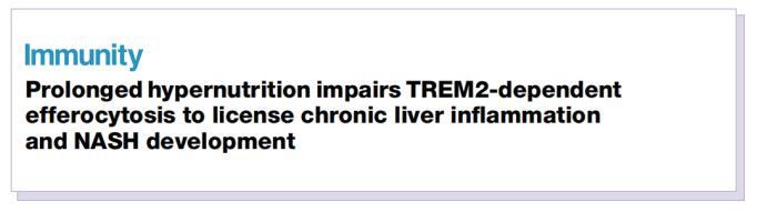 文献解读 | 长期营养过度损害 TREM2 依赖性胞葬作用促进慢性肝脏炎症和 NASH 发展 - 知乎