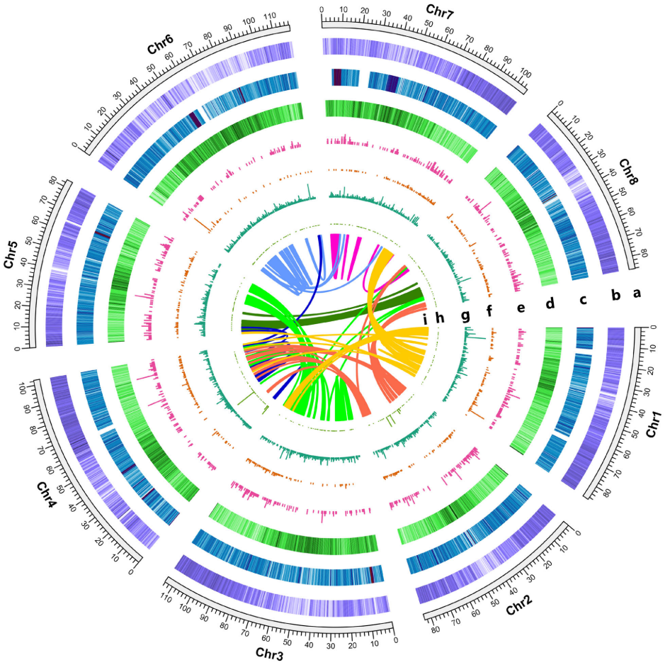 【业务介绍】苜蓿遗传转化 - 知乎