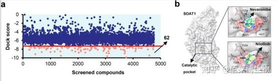SPR实验案例：利用Biacore进行化合物筛选 - 知乎