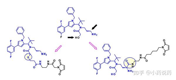 ADC有效载荷及研究进展详述 - 知乎