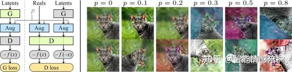 StyleGAN2图像生成应用 - 知乎