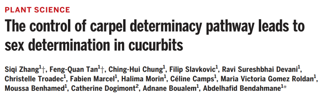 Science | 法国IPS2 Abdel团队揭示植物性别决定与两性花发育调控新机制 - 知乎