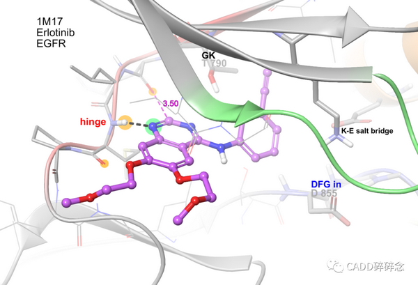 kinase结构特征及hinge-binding - 知乎